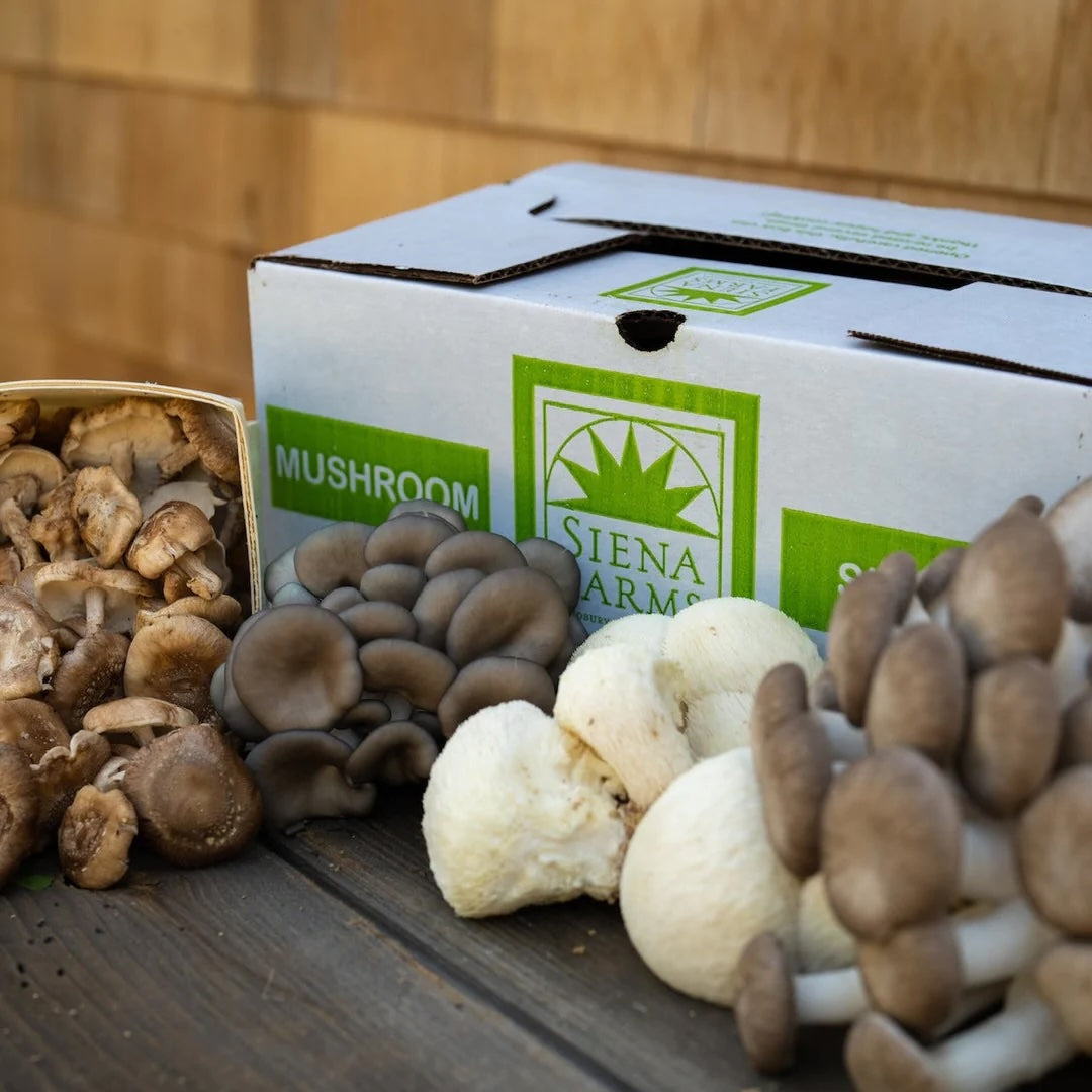 Monthly Mushroom Subscription – Siena Farms